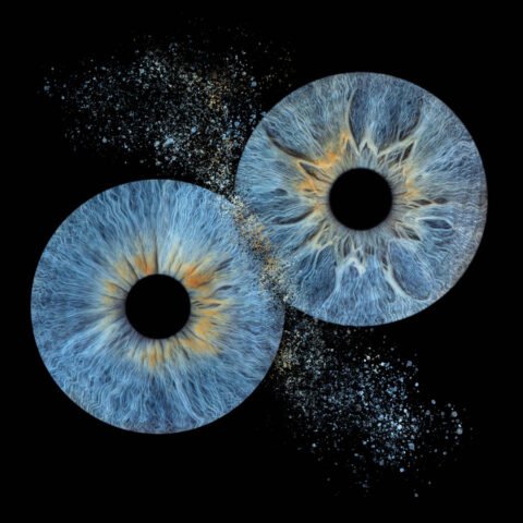 2 iris - DUO - IRISPHOTO BE